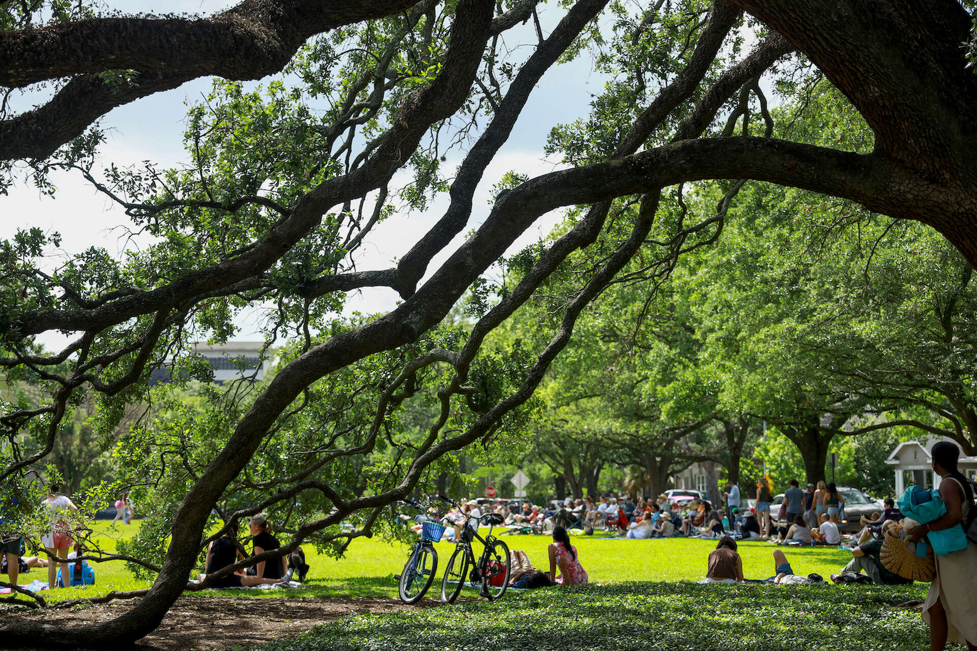 Menil Park: Why this prized green space shouldn't be missed