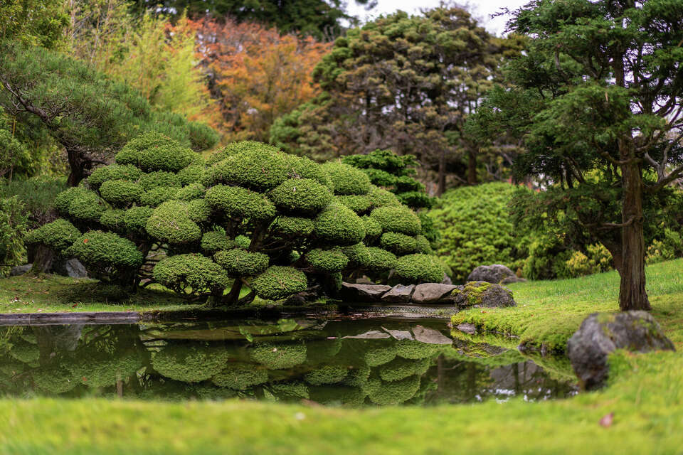 Japanese Tea Garden: A complete guide to the SF landmark