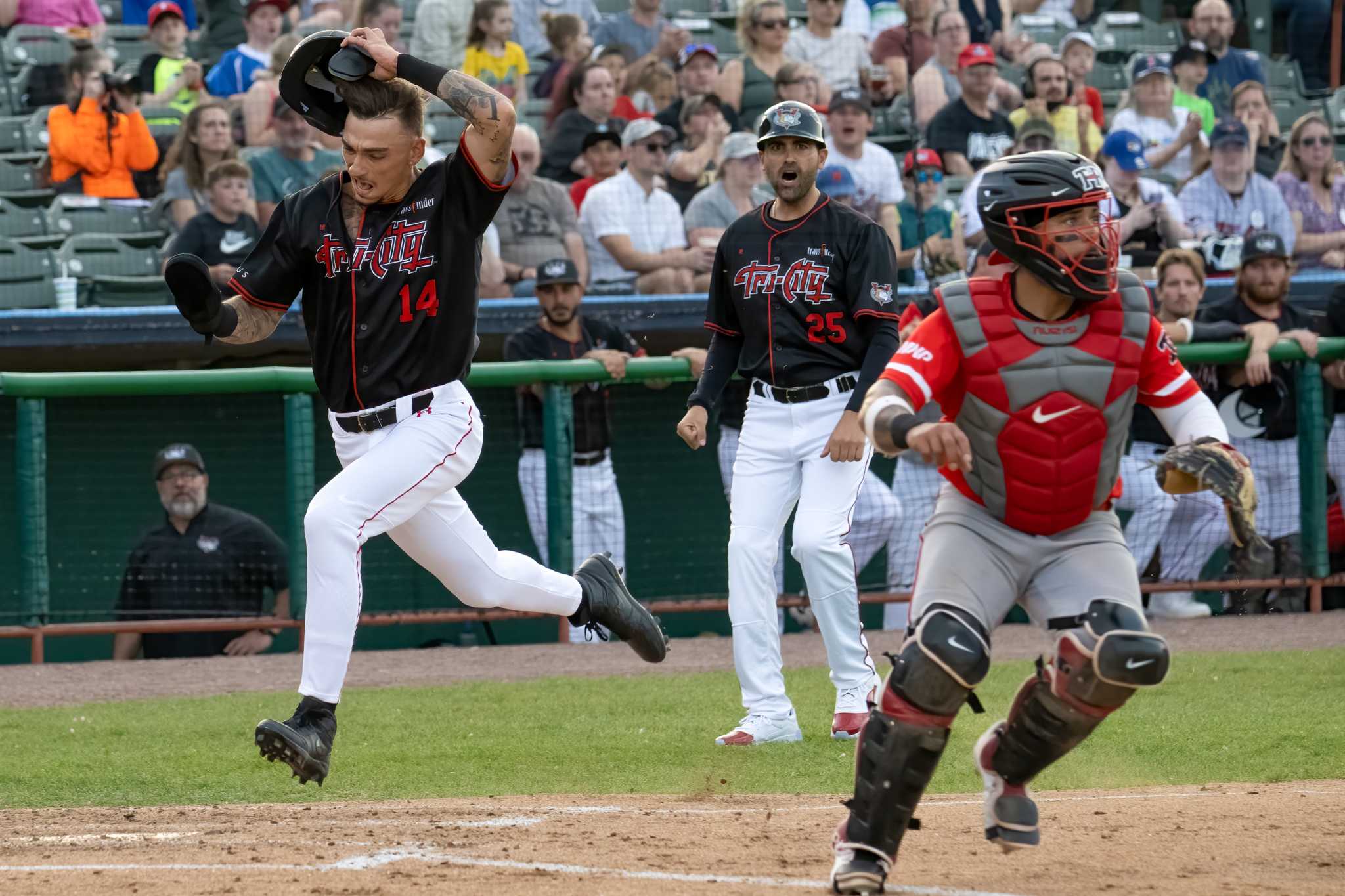 Josh Broughton off to superb start for ValleyCats