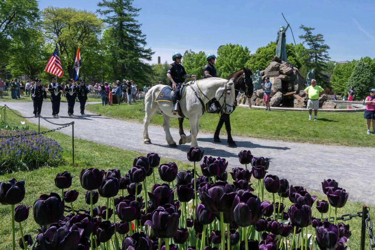 Math teacher Olivia Owens crowned Albany's 2023 Tulip Queen