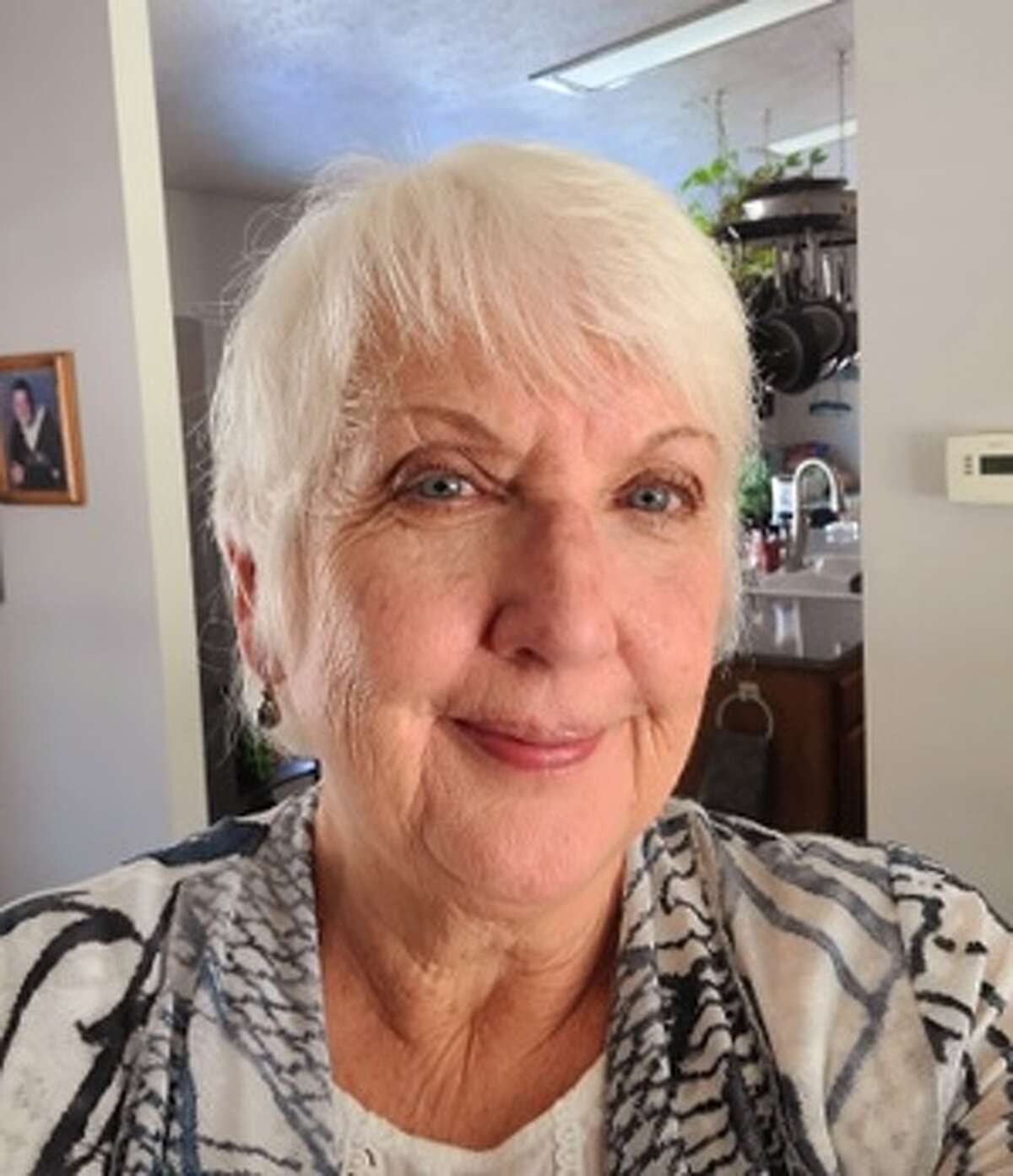 Manistee County Democrats to hold meeting May 18