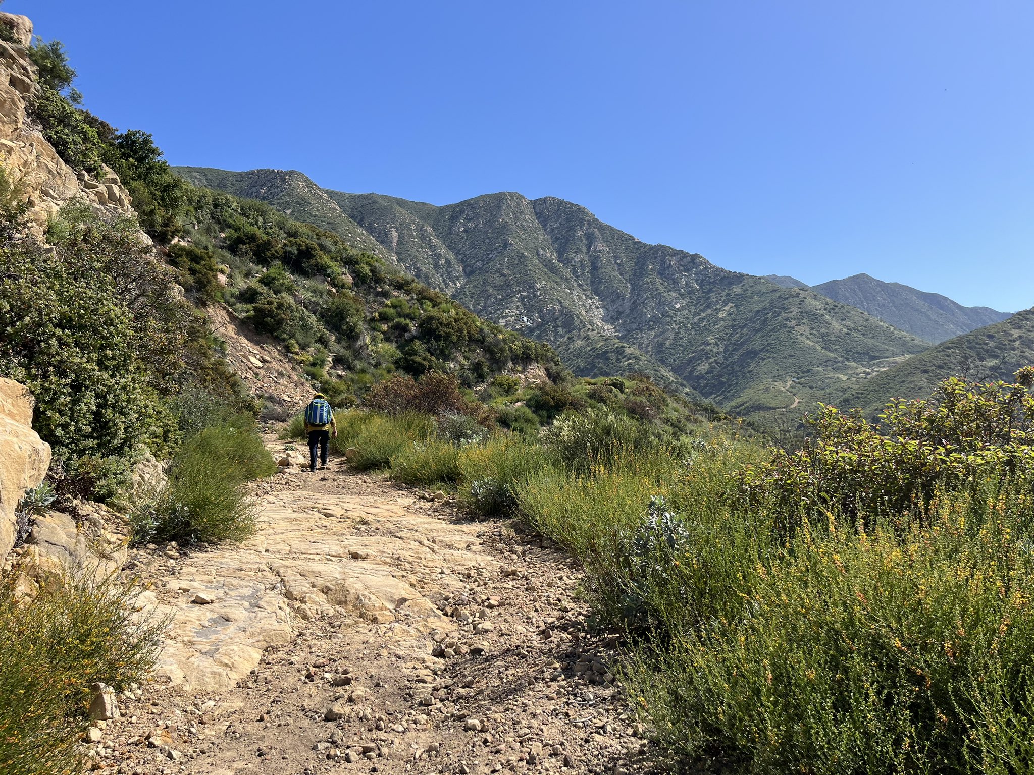 California hiker airlifted to hospital after rattlesnake bite