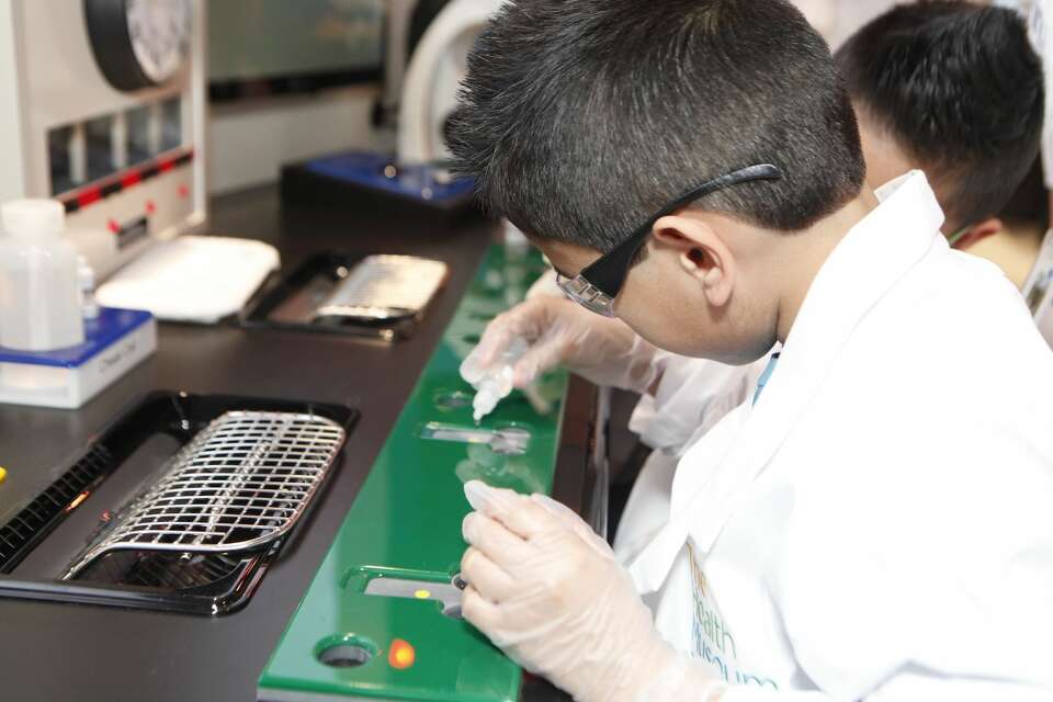 The Health Museum: All to know about this interactive museum