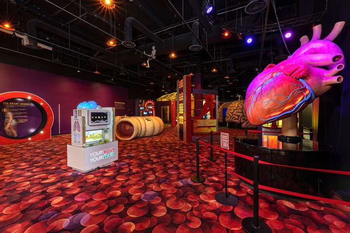 The Health Museum: All to know about this interactive museum