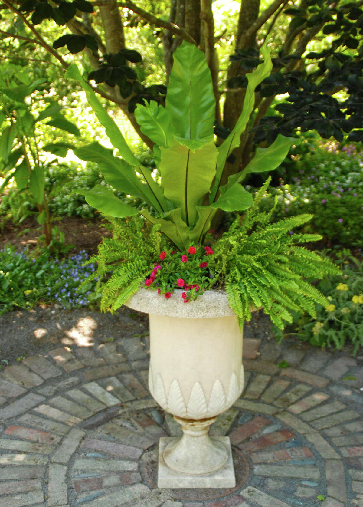 Don't let summer heat keep plants from thriving