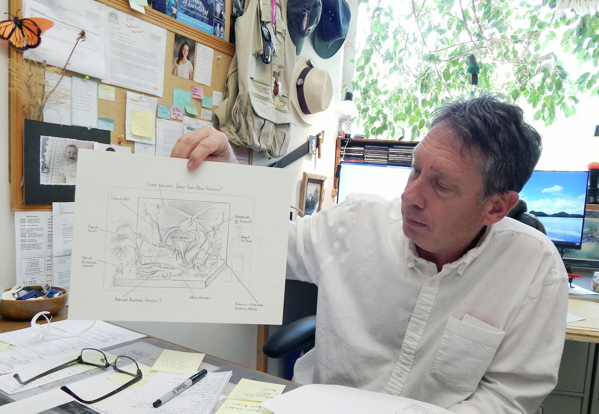 Seeing ghosts: IC's Zettler returns to Chelsea Flower Show with orchid