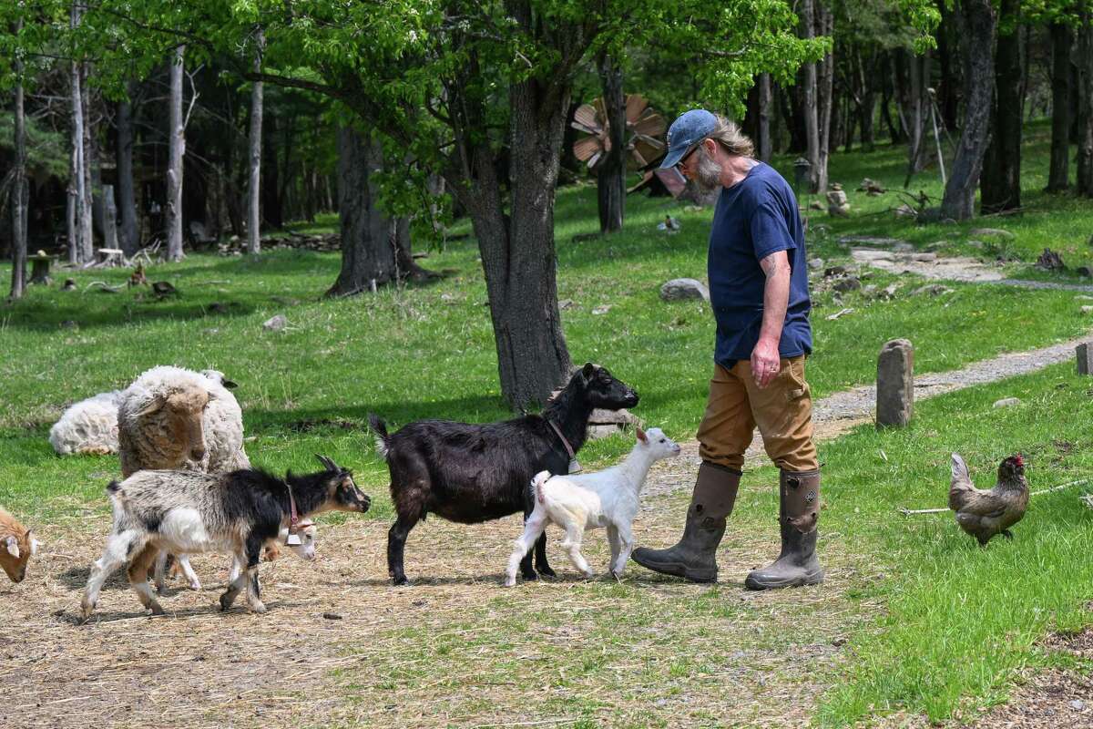 Not-so-typical upstate camping ideas, and how to book a site