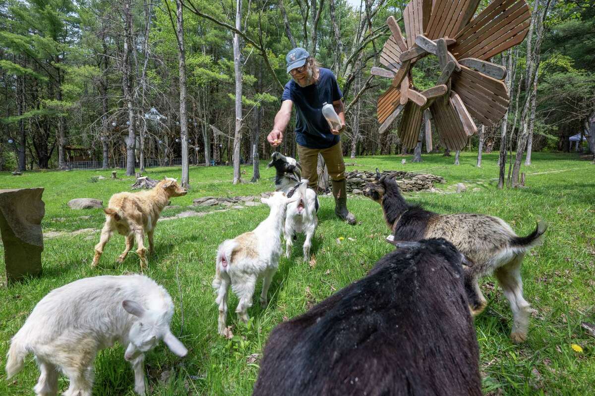 Not-so-typical upstate camping ideas, and how to book a site