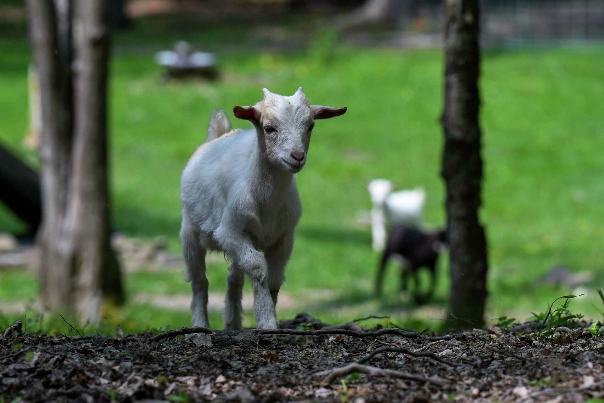 Not-so-typical upstate camping ideas, and how to book a site