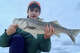 Beginner’s guide to striped bass fishing in the Hudson