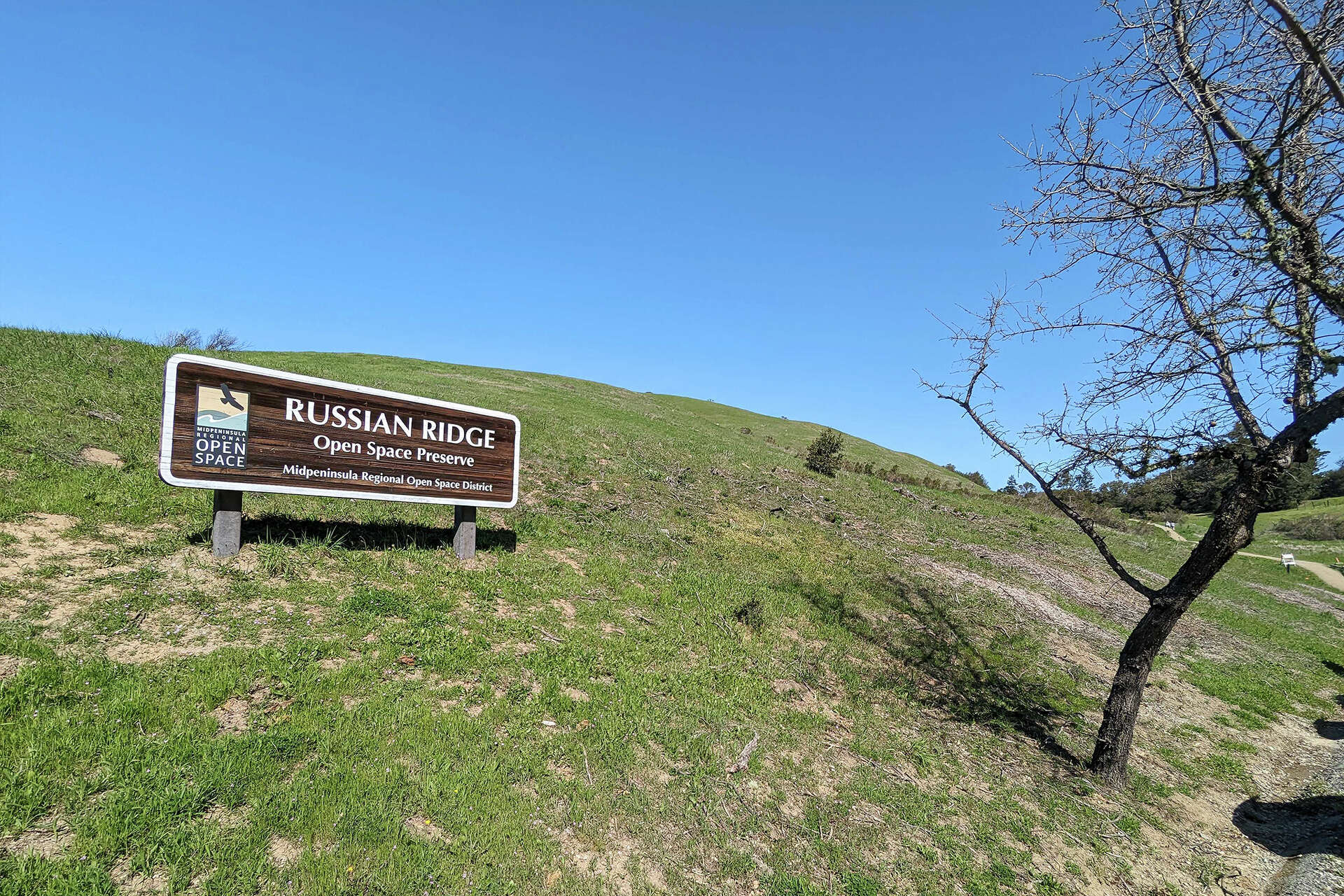 A perfect Bay Area hike for people who sleep in late