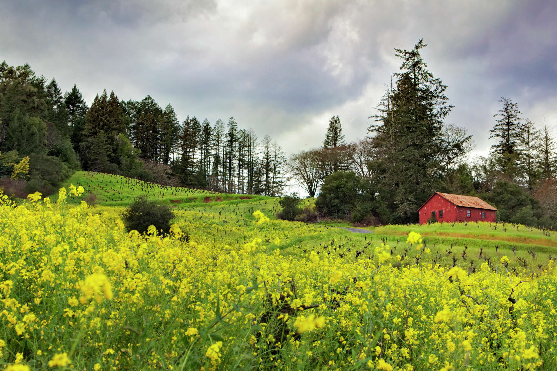 Discover Healdsburg, a laid-back town in Calif. Wine Country