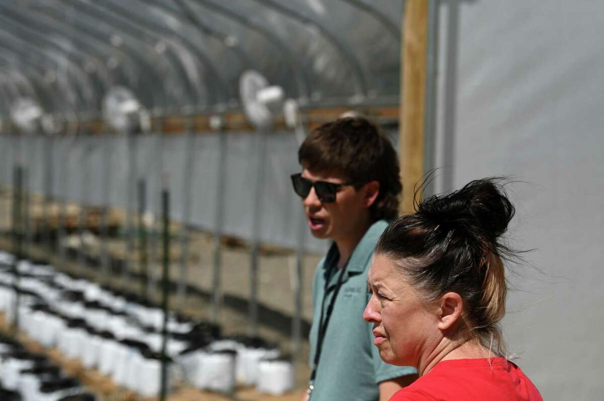 Family-owned Juniper Jill Cannabis Co. ready for growing season