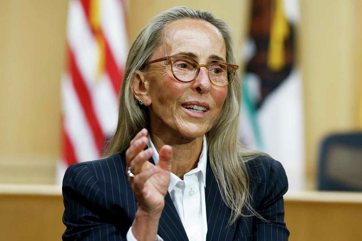 Accused Bob Lee killer Nima Momeni's defense begins to take shape