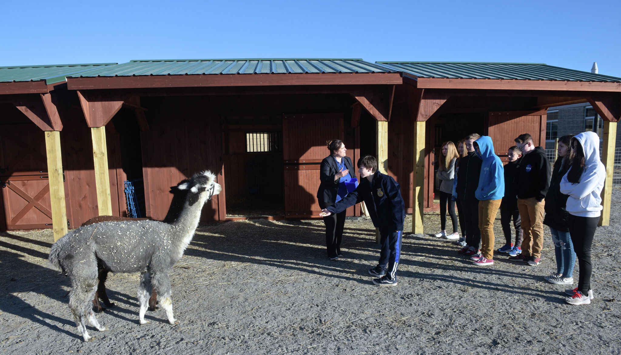 Shepaug's Agriscience program grows as students vie for spot