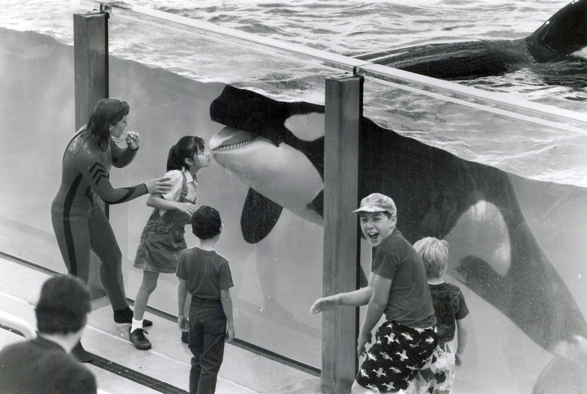 SeaWorld San Antonio's grand opening was 35 years ago
