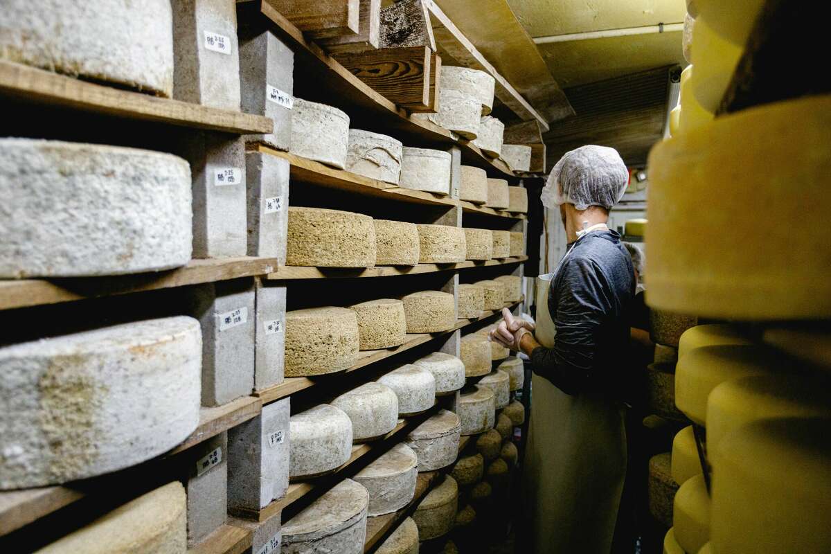 How CT farms and artisans are shaping the cheese-making scene