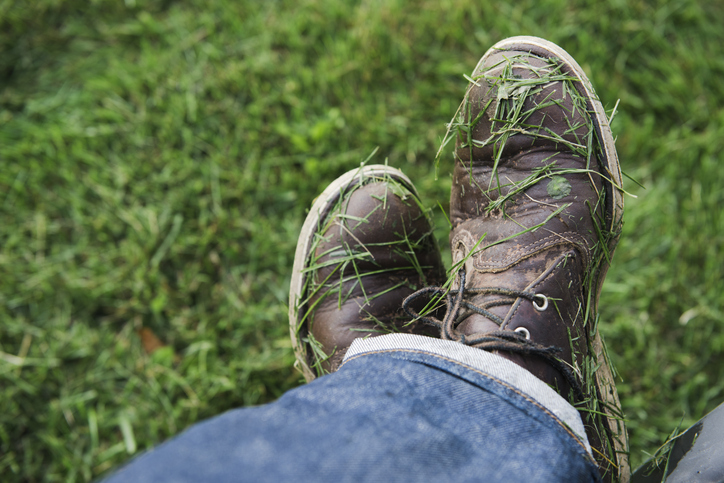 A murder most fragrant — Robin writes by Robin Garrison Leach