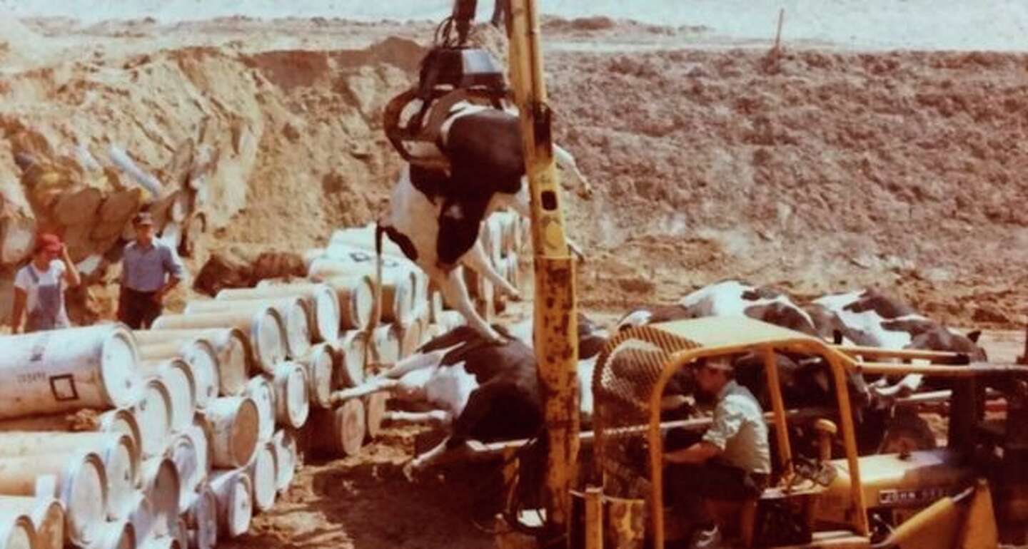 Conference commemorates 50 years since the PBB disaster