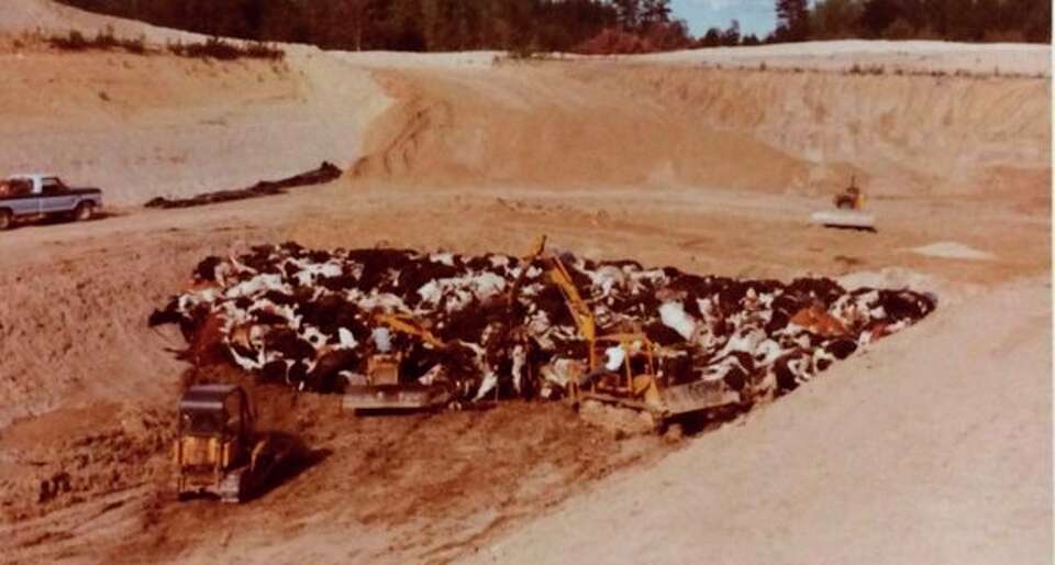 Conference commemorates 50 years since the PBB disaster