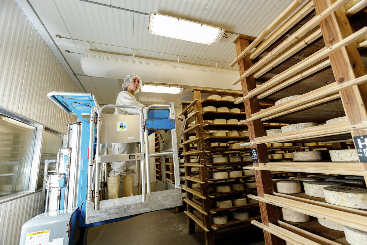 How CT farms and artisans are shaping the cheese-making scene
