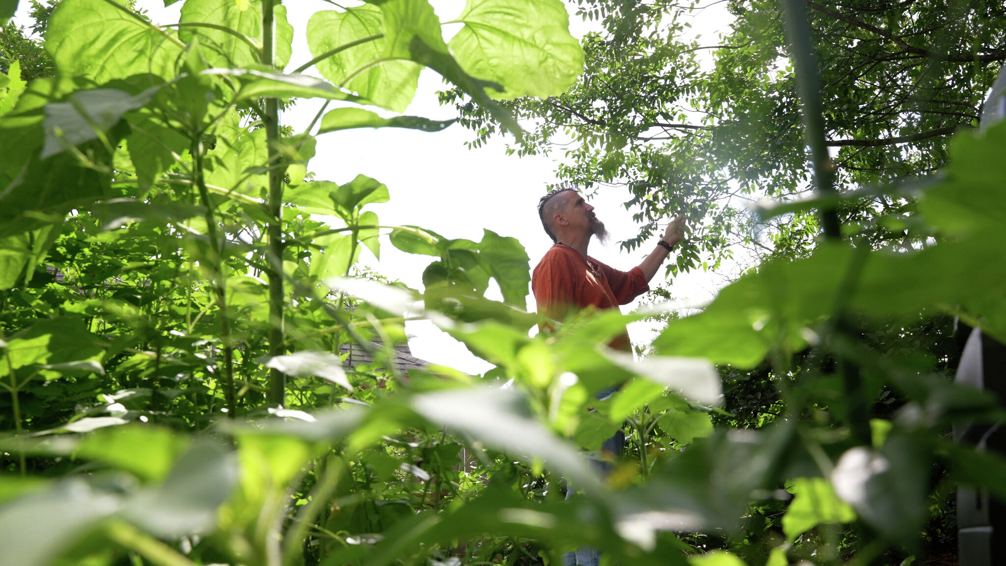 Foraging in Houston and food exploration: City of Food