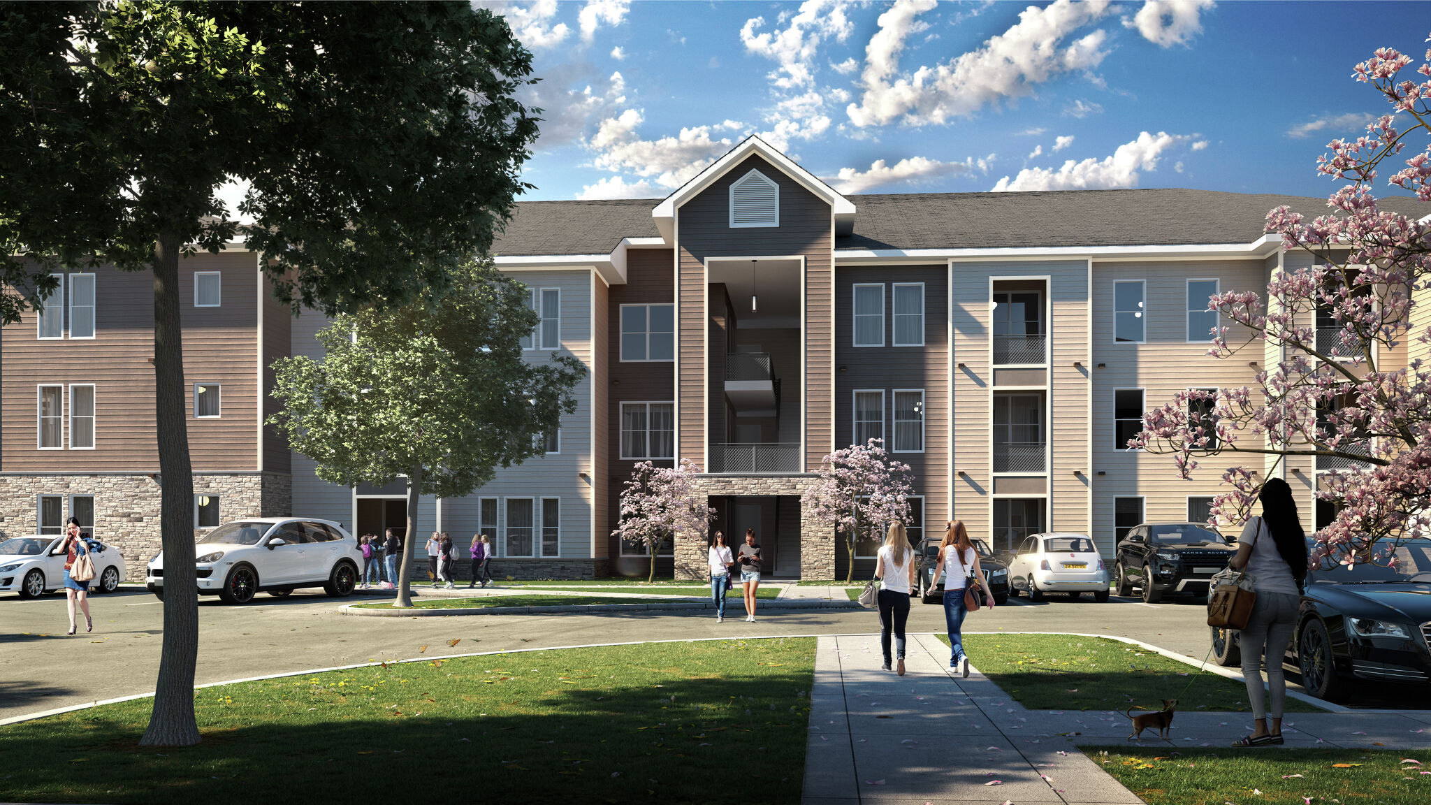 Treeline Elementary New Principal