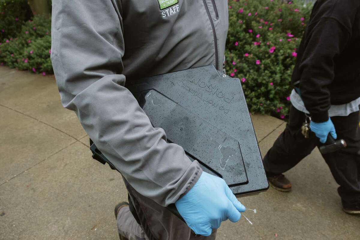 California regulators will reassess widely used rat poison