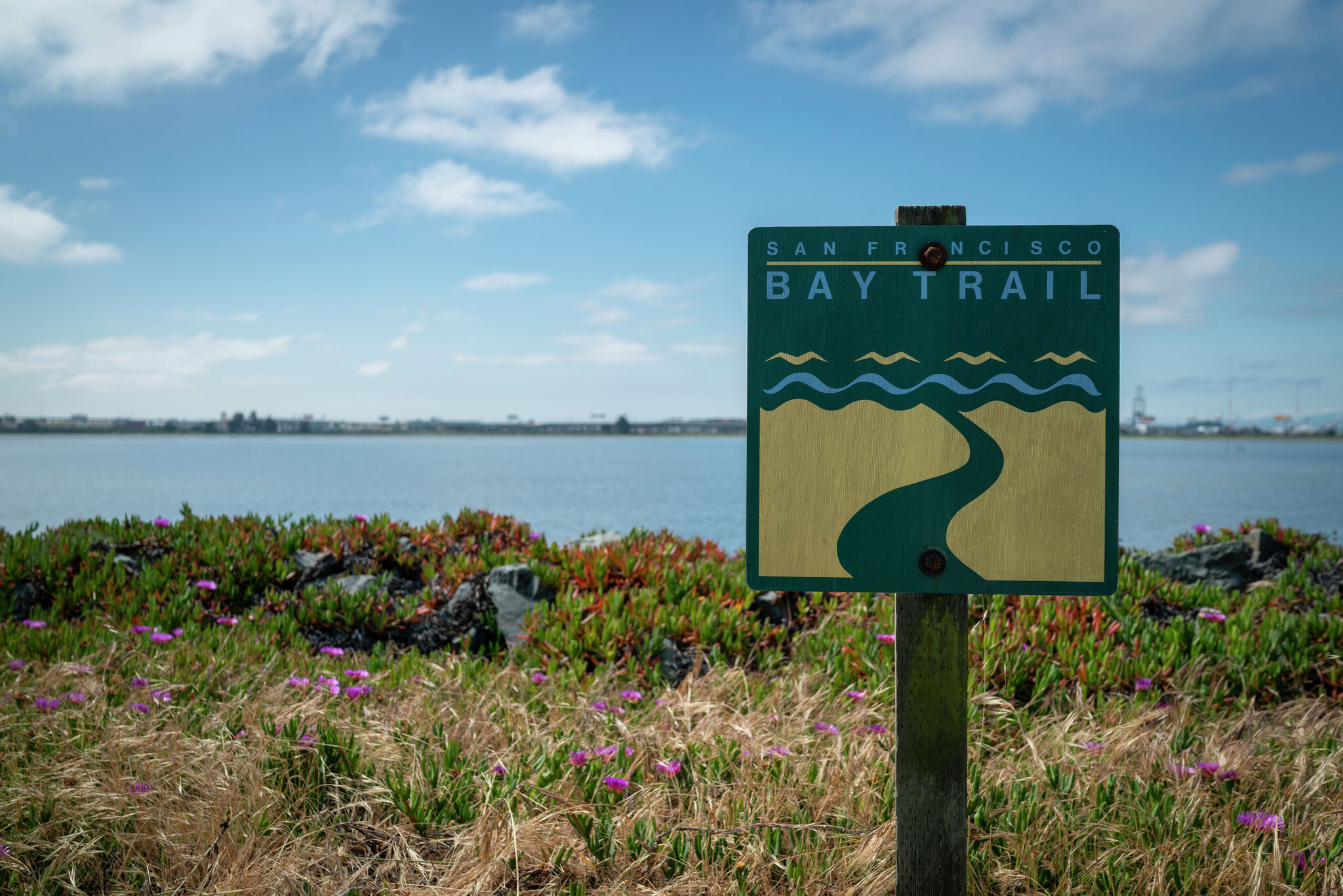 San Francisco Bay Trail: A guide to the network of paths