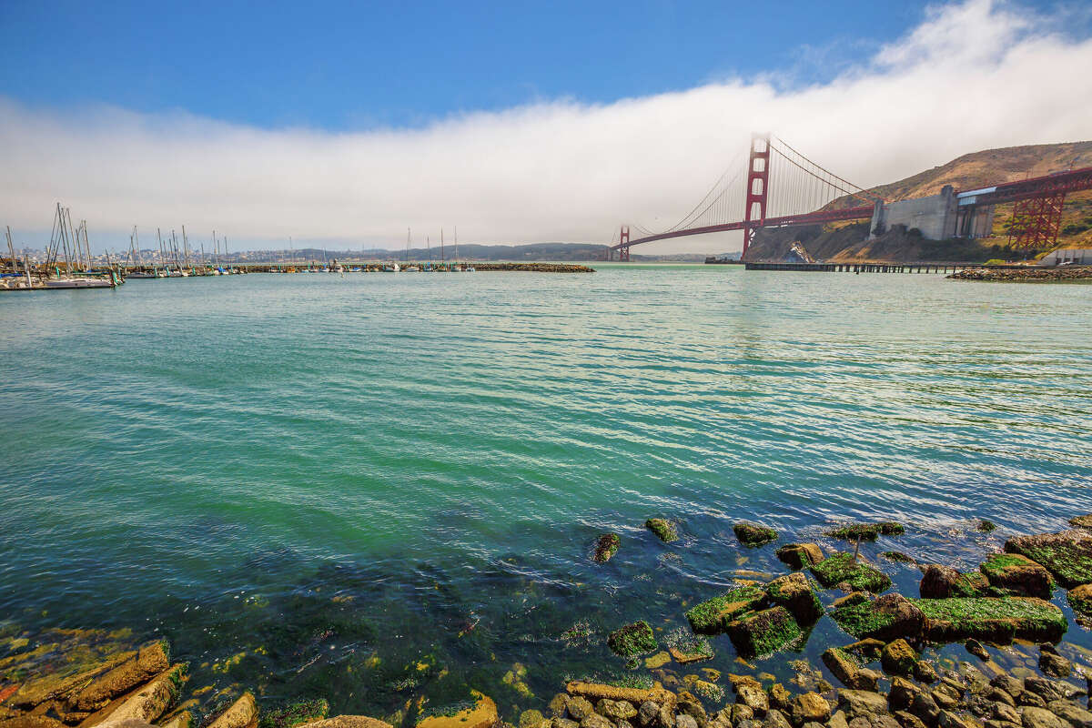 San Francisco Bay Trail: A guide to the network of paths