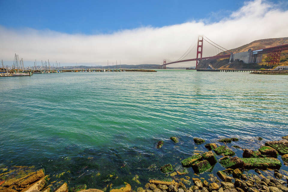 San Francisco Bay Trail: A guide to the network of paths