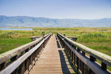 San Francisco Bay Trail: A guide to the network of paths