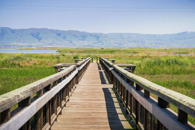 San Francisco Bay Trail: A guide to the network of paths