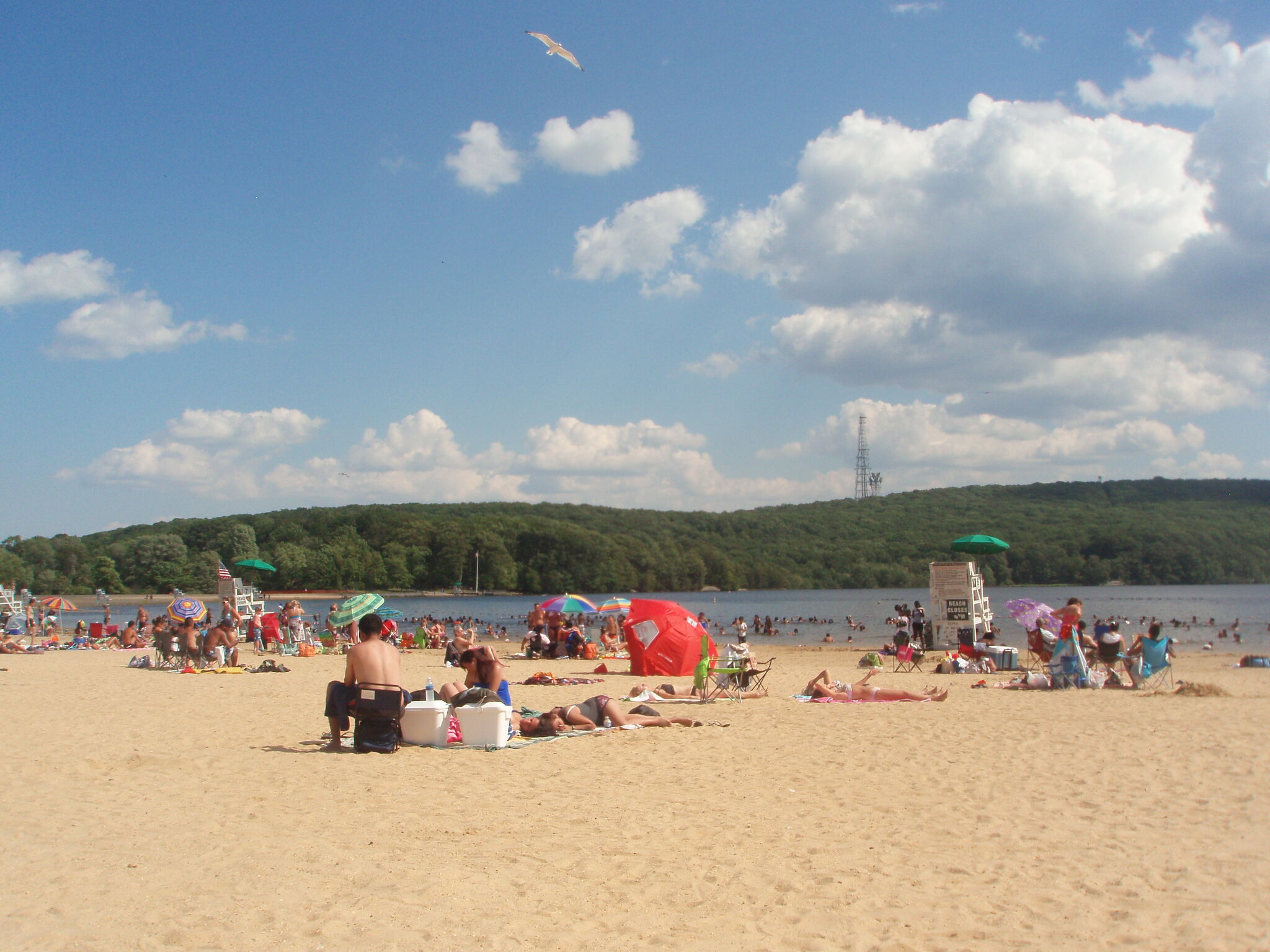 Lake Welch beach reopens after treating toxic algae