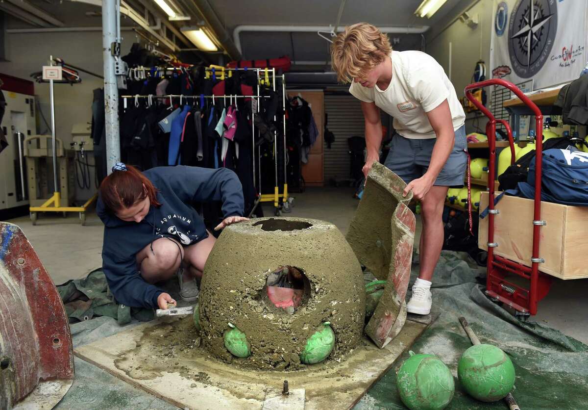 New Haven's Sound School students build reef to grow oysters