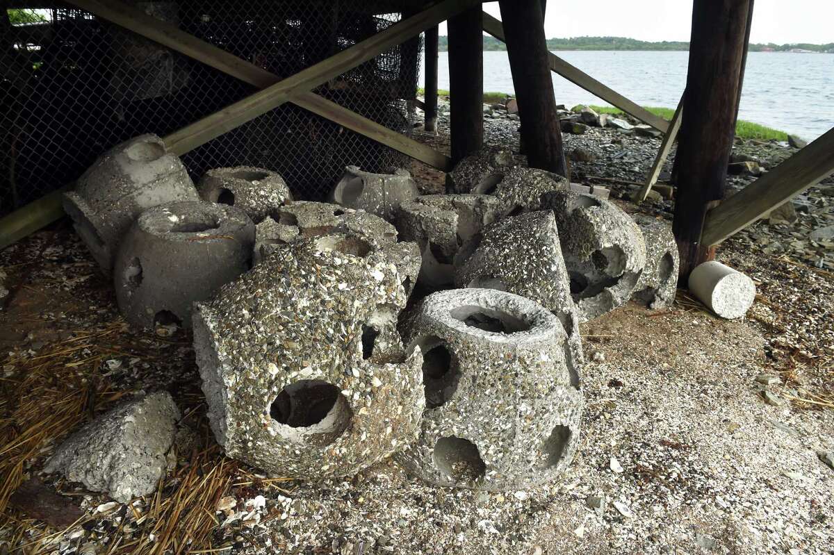 New Haven's Sound School students build reef to grow oysters