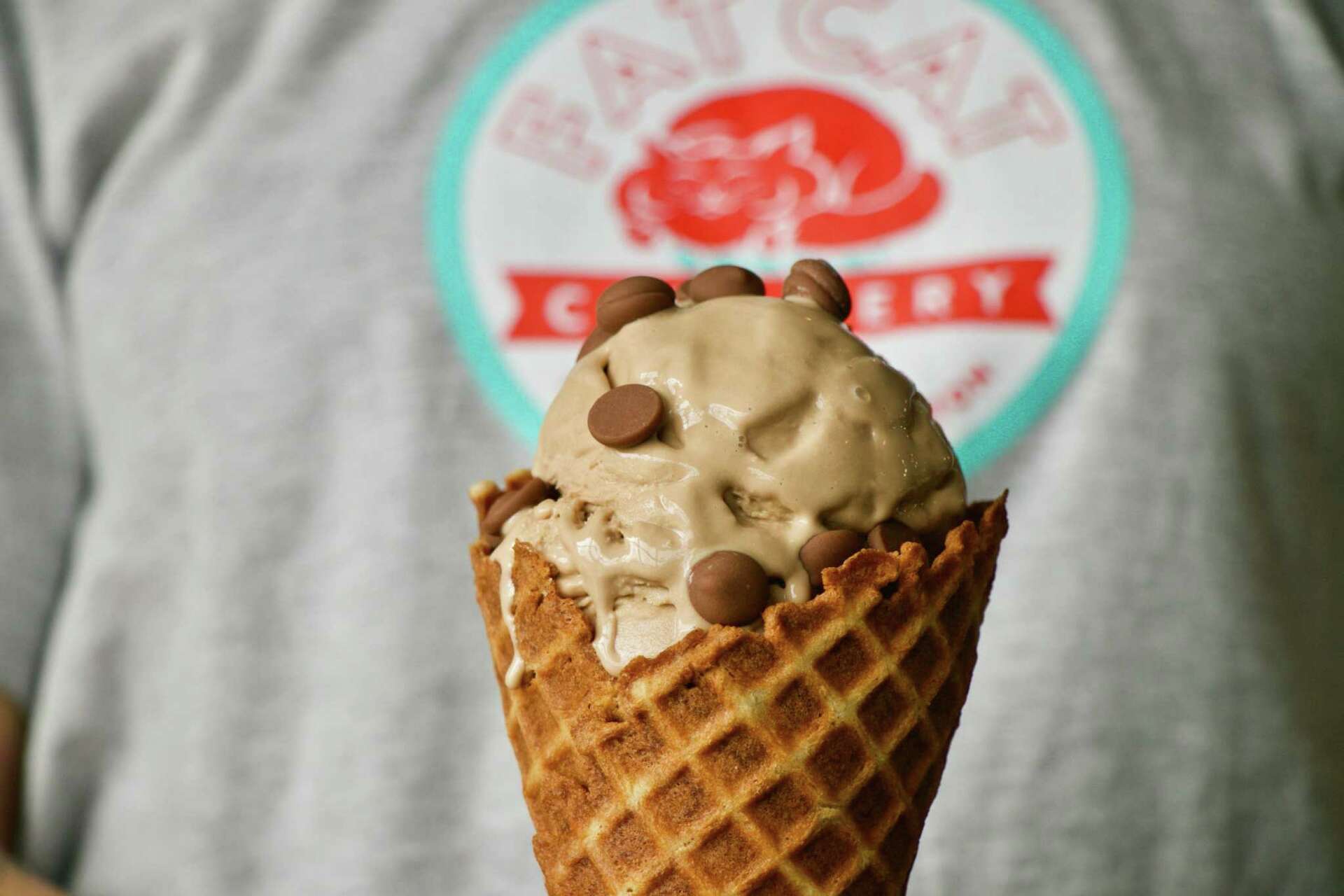Fat Cat Creamery closes Houston Heights location