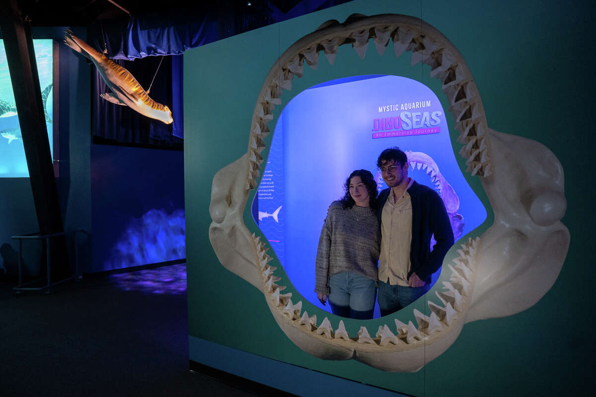 Mystic Aquarium celebrates 50th anniversary with new Dino Seas exhibit