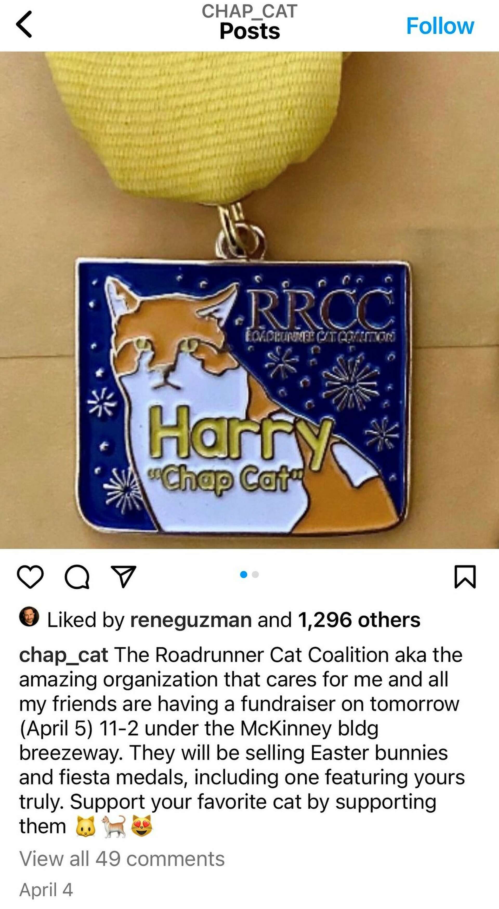 Roadrunner Cat Coalition at UTSA helps manage San Antonio's feral cats