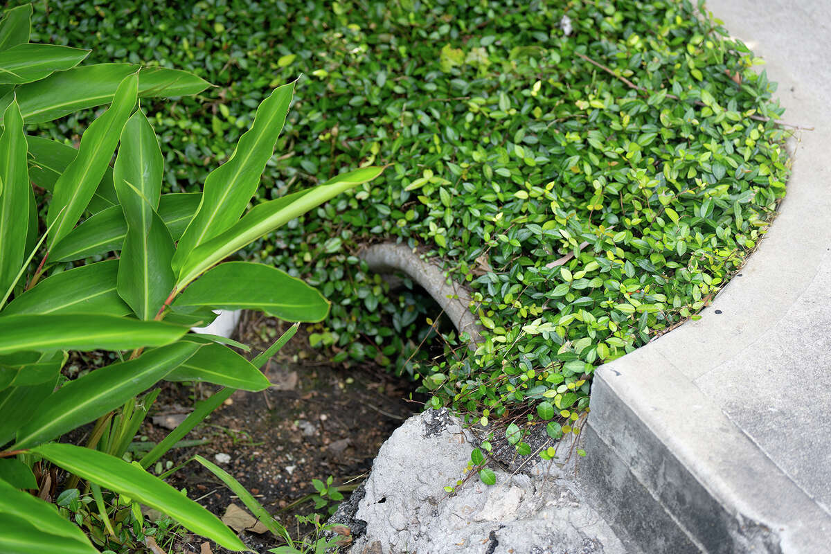 Houston open drainage ditch policy reversed, city will maintain sites