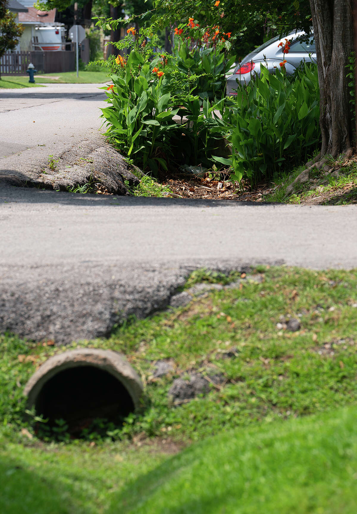 In praise of open ditches (Opinion)