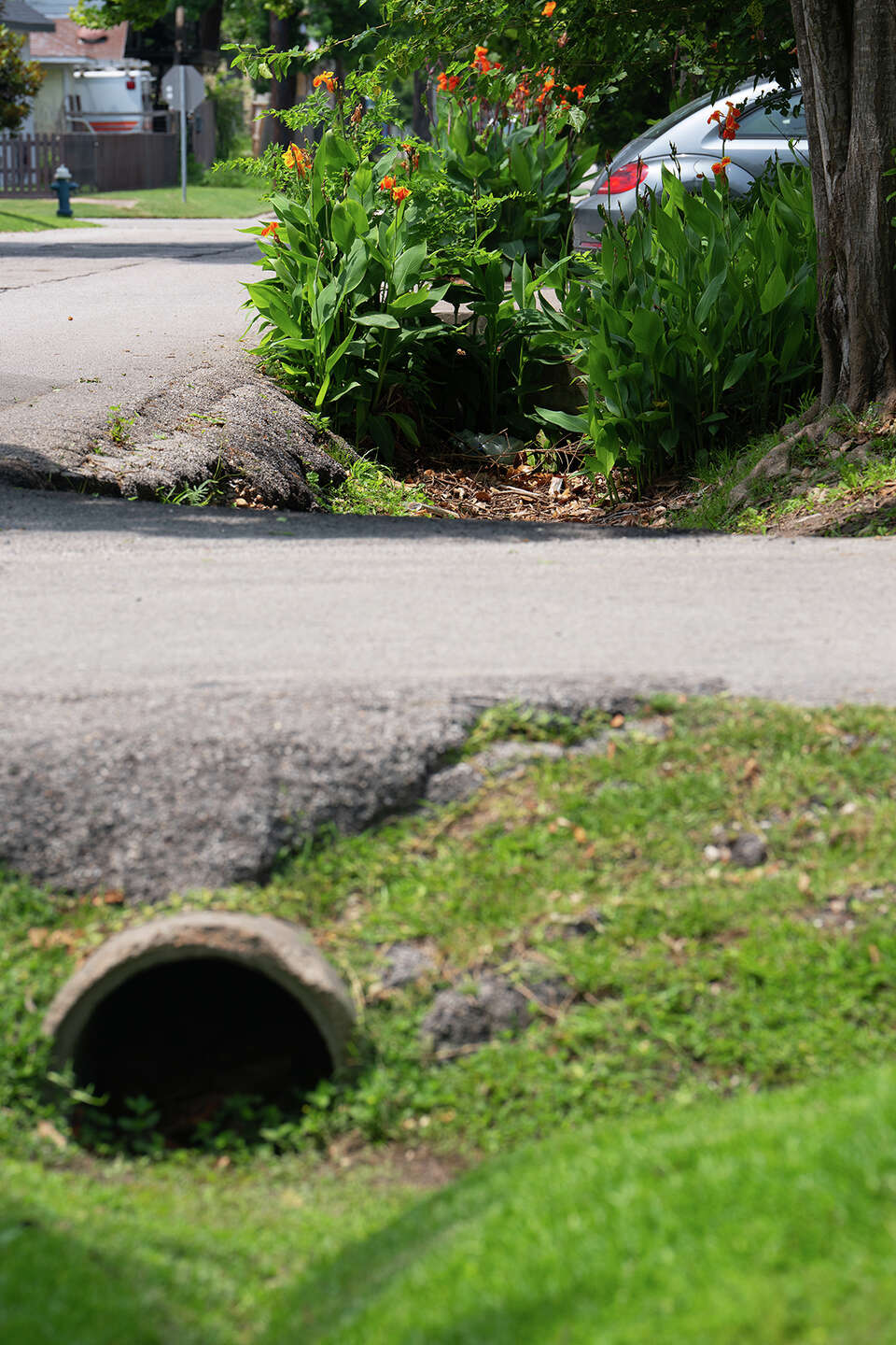 In praise of open ditches (Opinion)