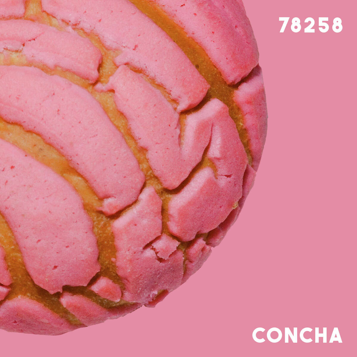 Cole High School students' photo exhibit lands at San Antonio airport