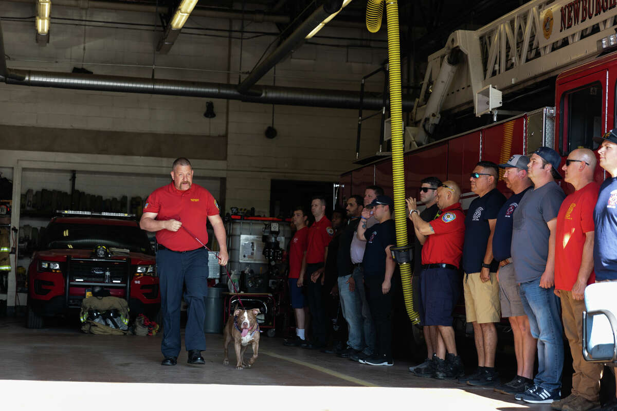 Nick the Firedog retires from Newburgh Fire Department
