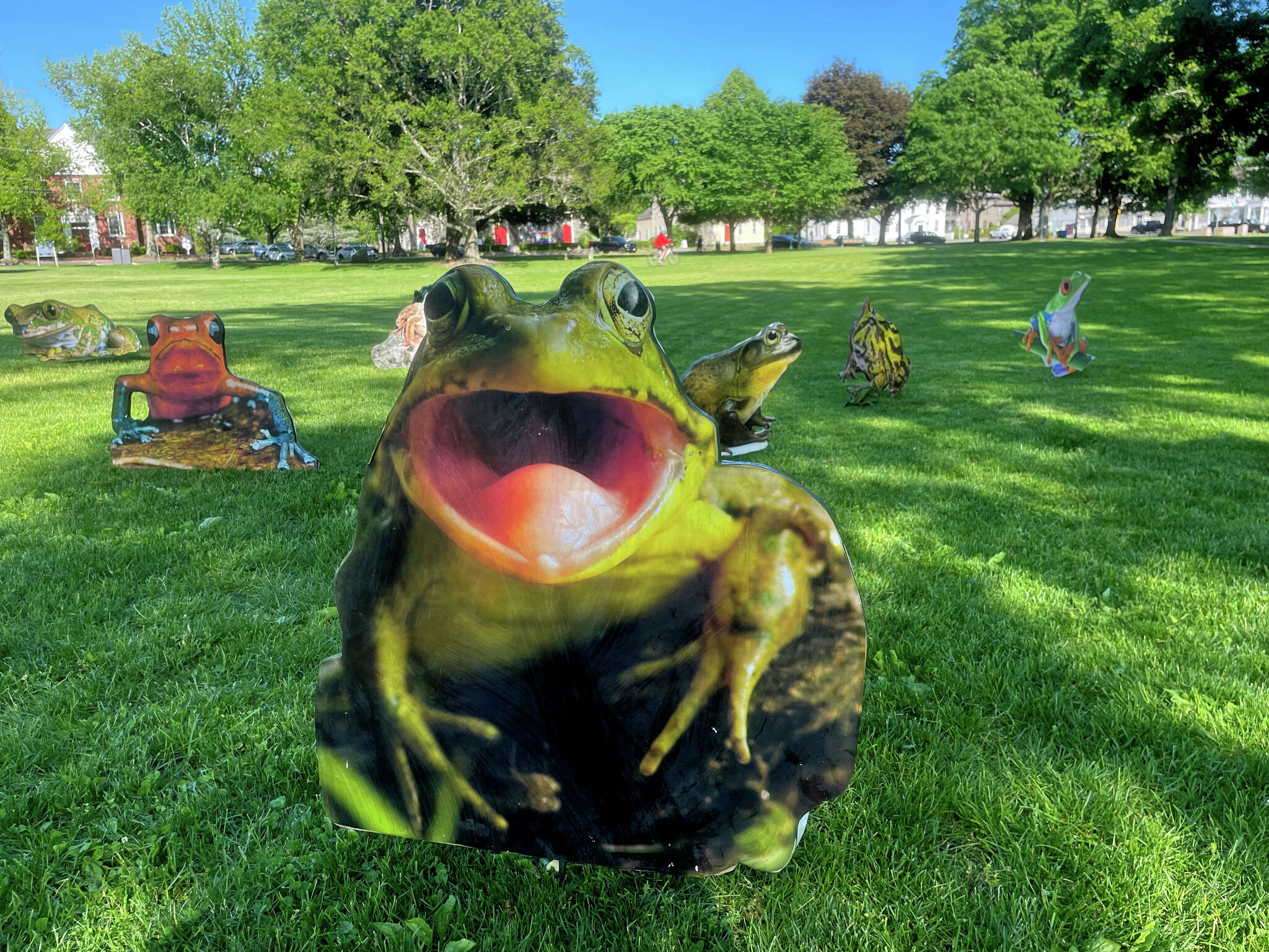 Frogs 'hop' onto the Guilford Green for Memorial Day weekend