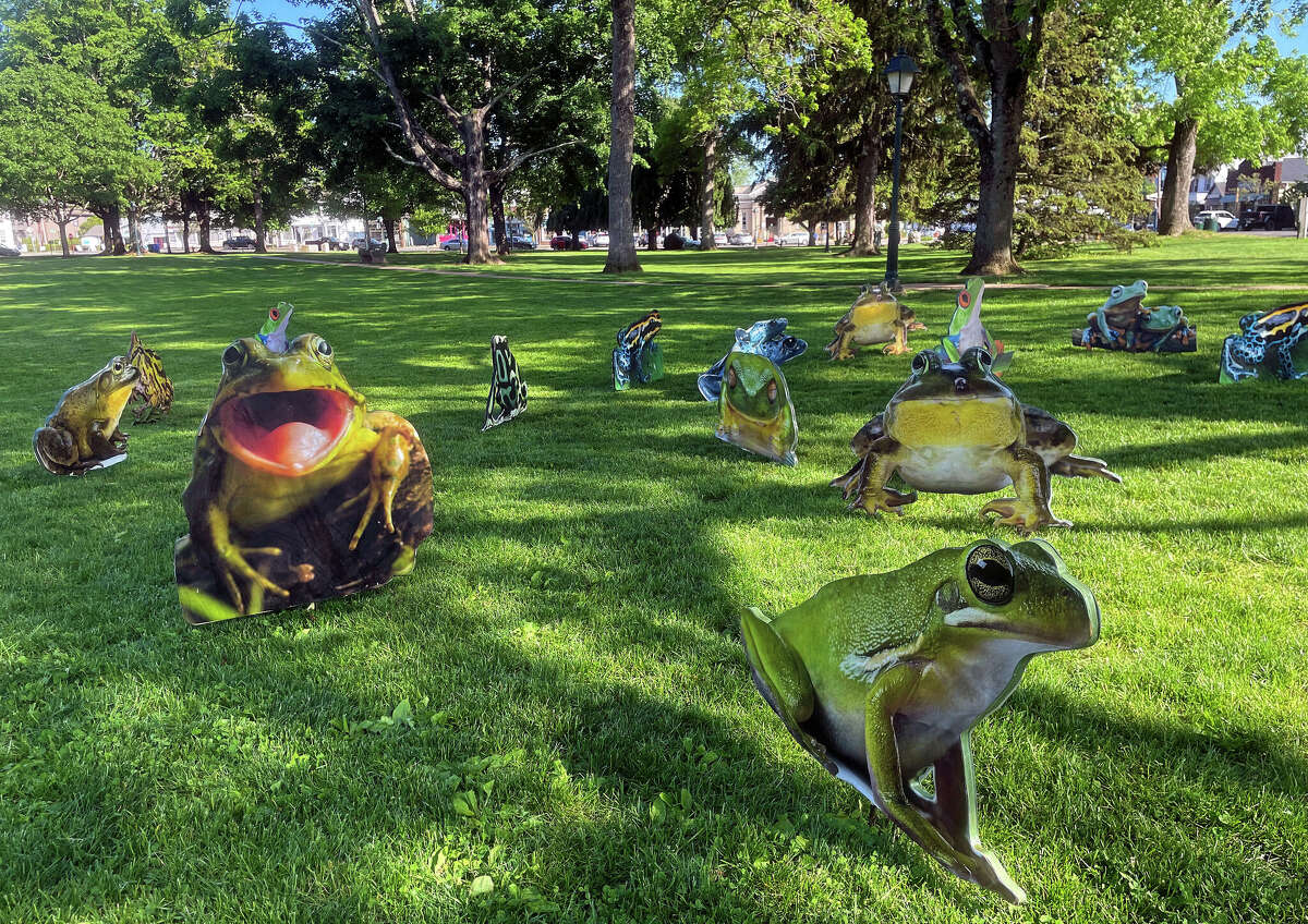 Frogs 'hop' onto the Guilford Green for Memorial Day weekend