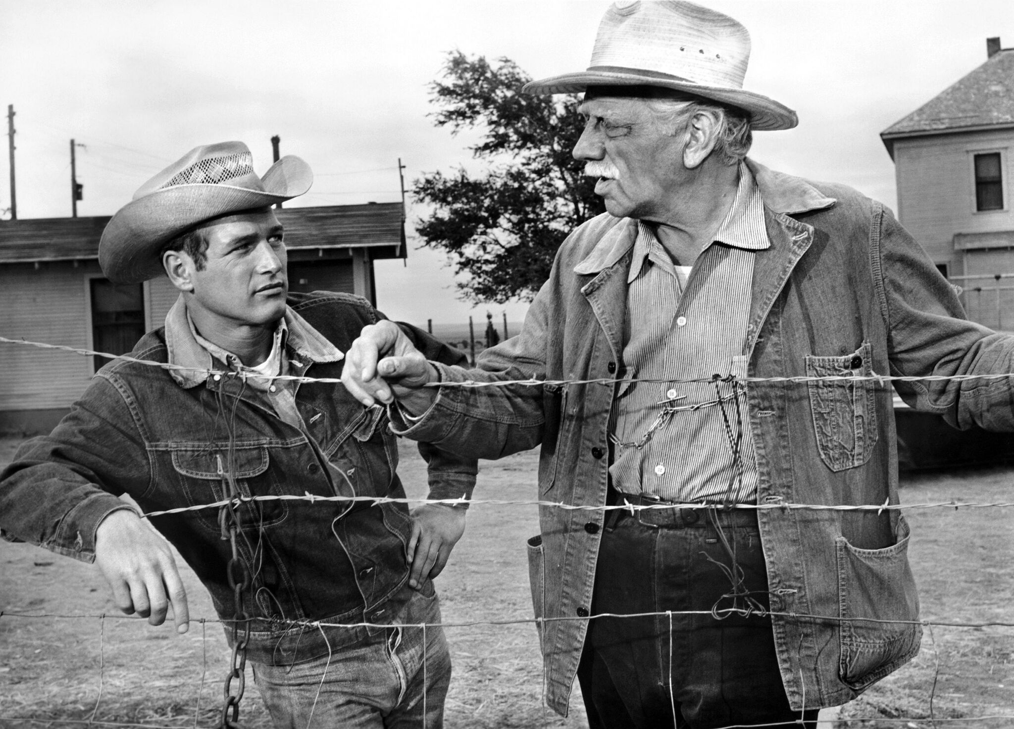 Paul Newman's Texas classic 'Hud' turns 60