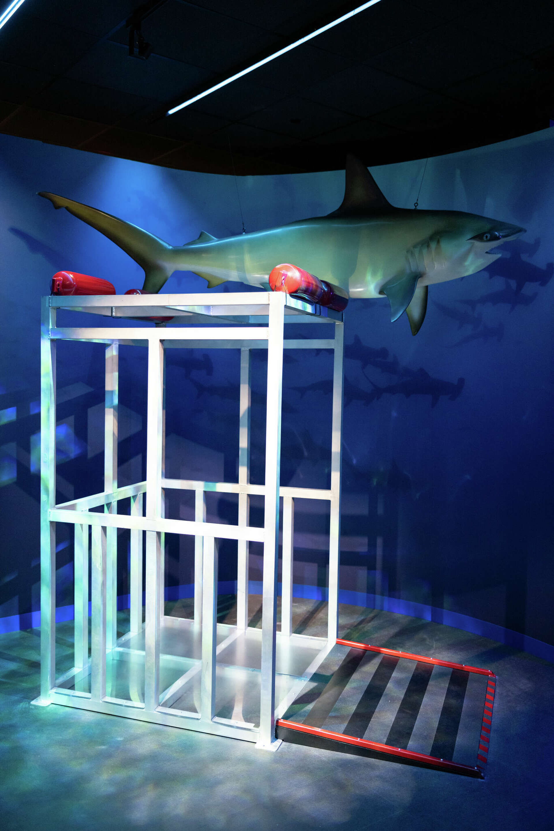 Houston museum's interactive aquarium, shark exhibit now open
