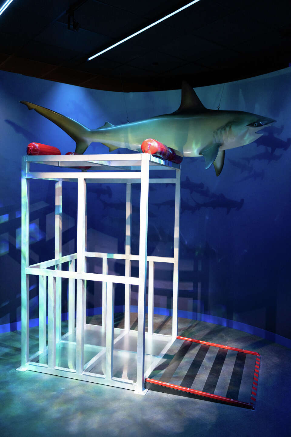 Houston museum's interactive aquarium, shark exhibit now open