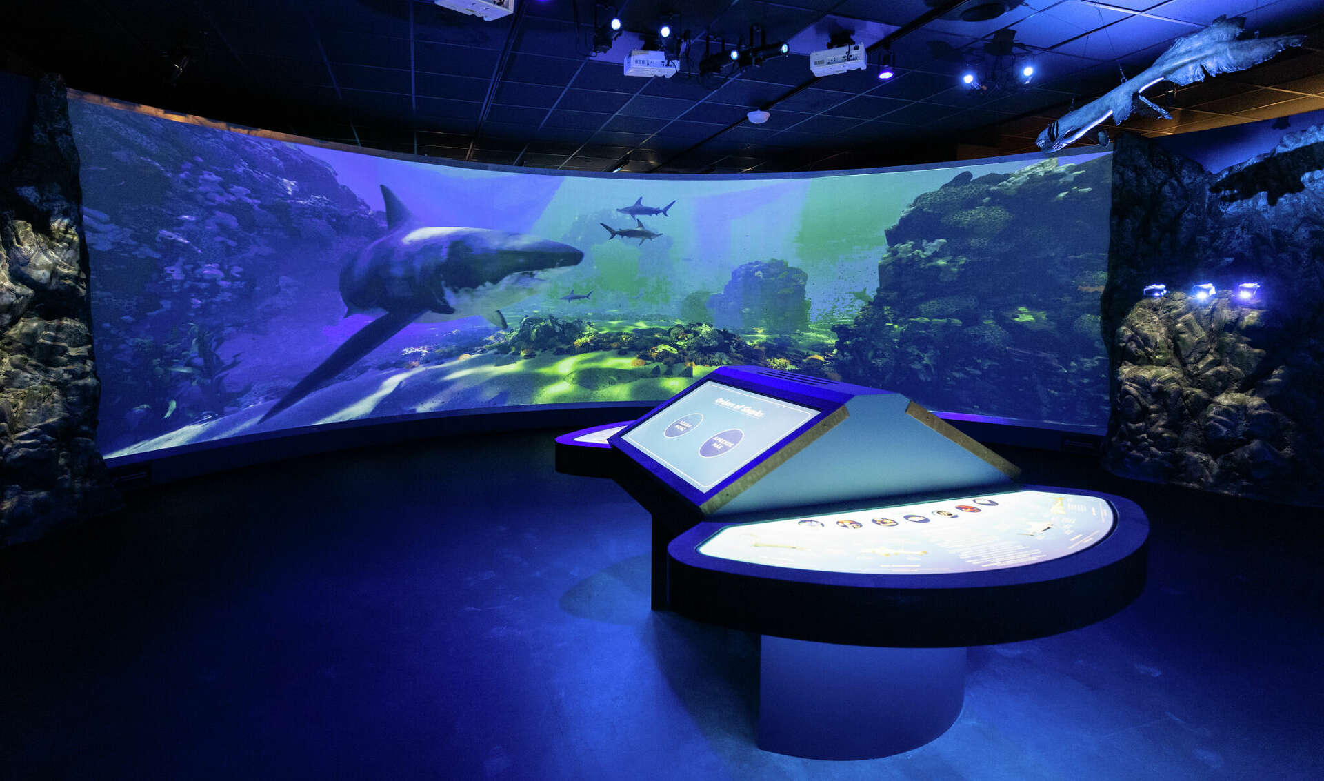 Houston museum's interactive aquarium, shark exhibit now open